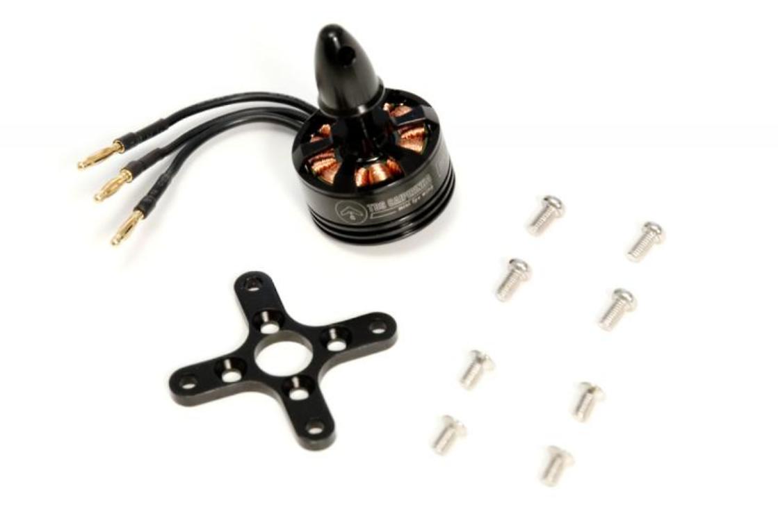 TBS Motor 2000kv für Caipirinha kaufen | FPV24.com